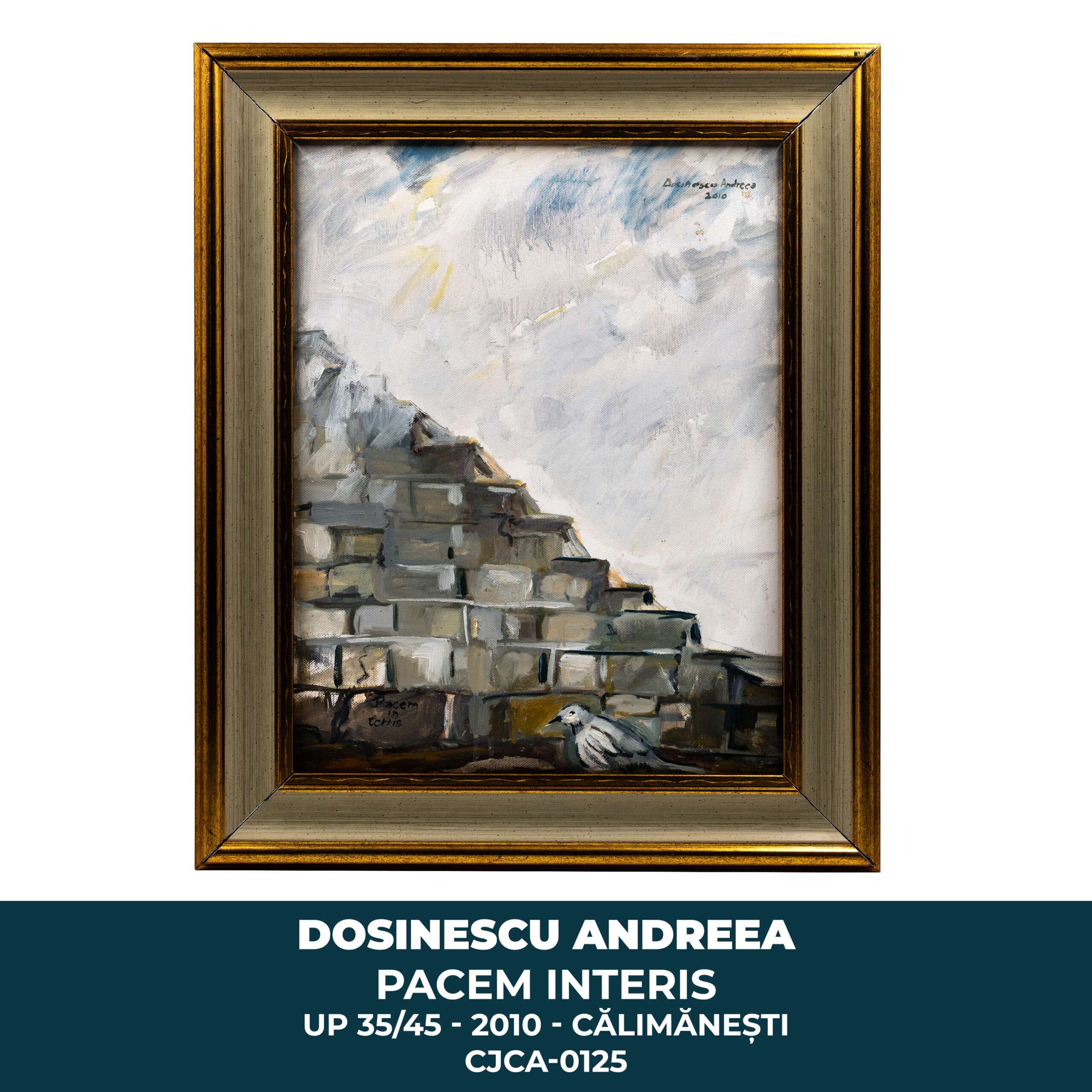 Pacem interis – CJCA Olt