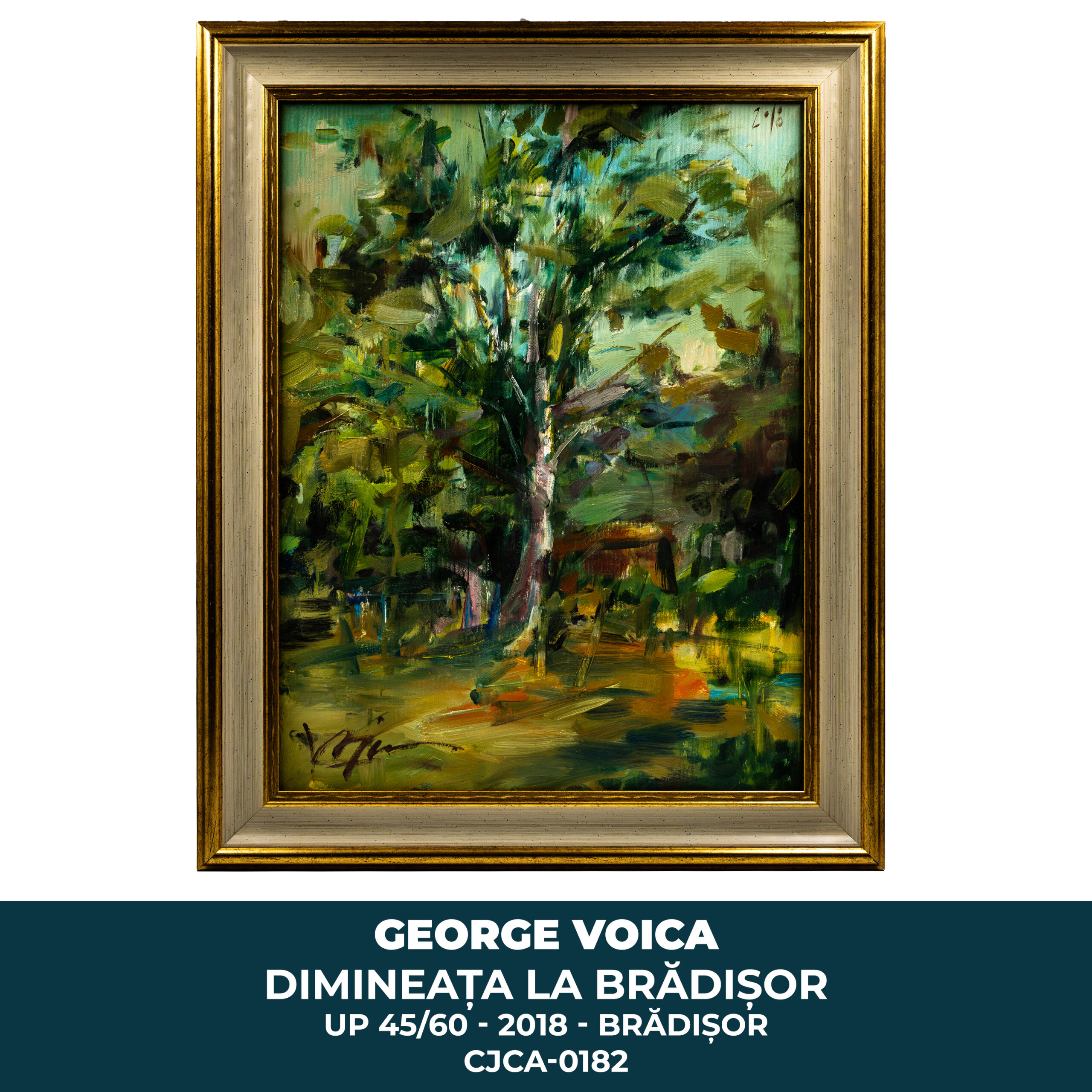 Dimineață la Brădișor – CJCA Olt